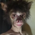 [1099+] Meme Pfp, Images, Pics, Photos & Wallpapers (2025) - PhotosWeek.org