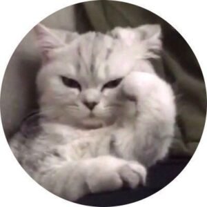 [1099+] Cute Pfp, Images, Pics, Photos & Wallpapers (2026) - PhotosWeek.org
