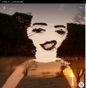 [1099+] Meme Pfp, Images, Pics, Photos & Wallpapers (2025) - PhotosWeek.org